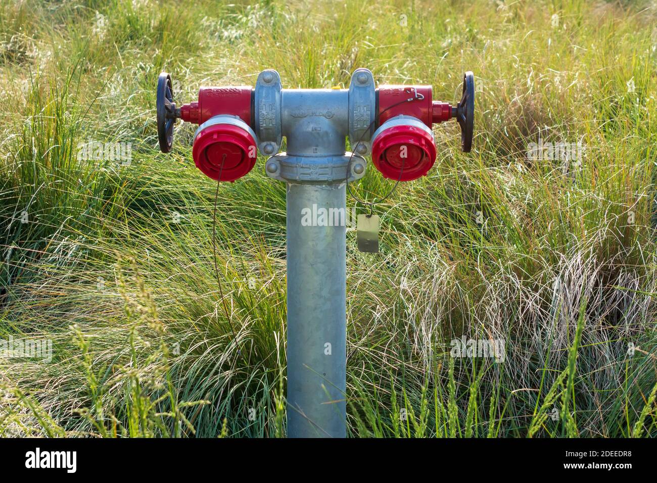 An industrial fire hydrant outdoors amongst grass and weeds in regional ...