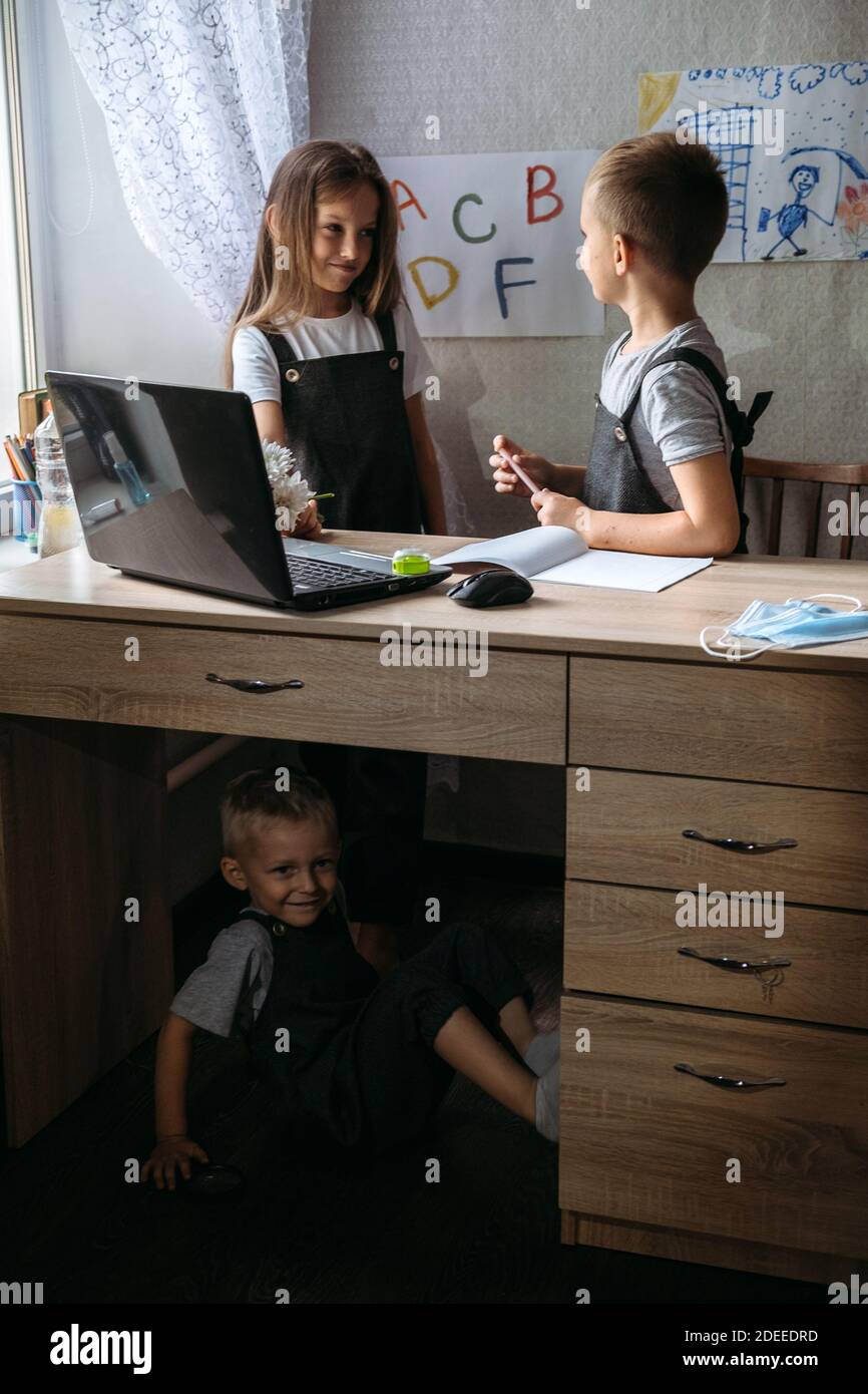 Distance learning, home education, remote lessons concept. Two ...