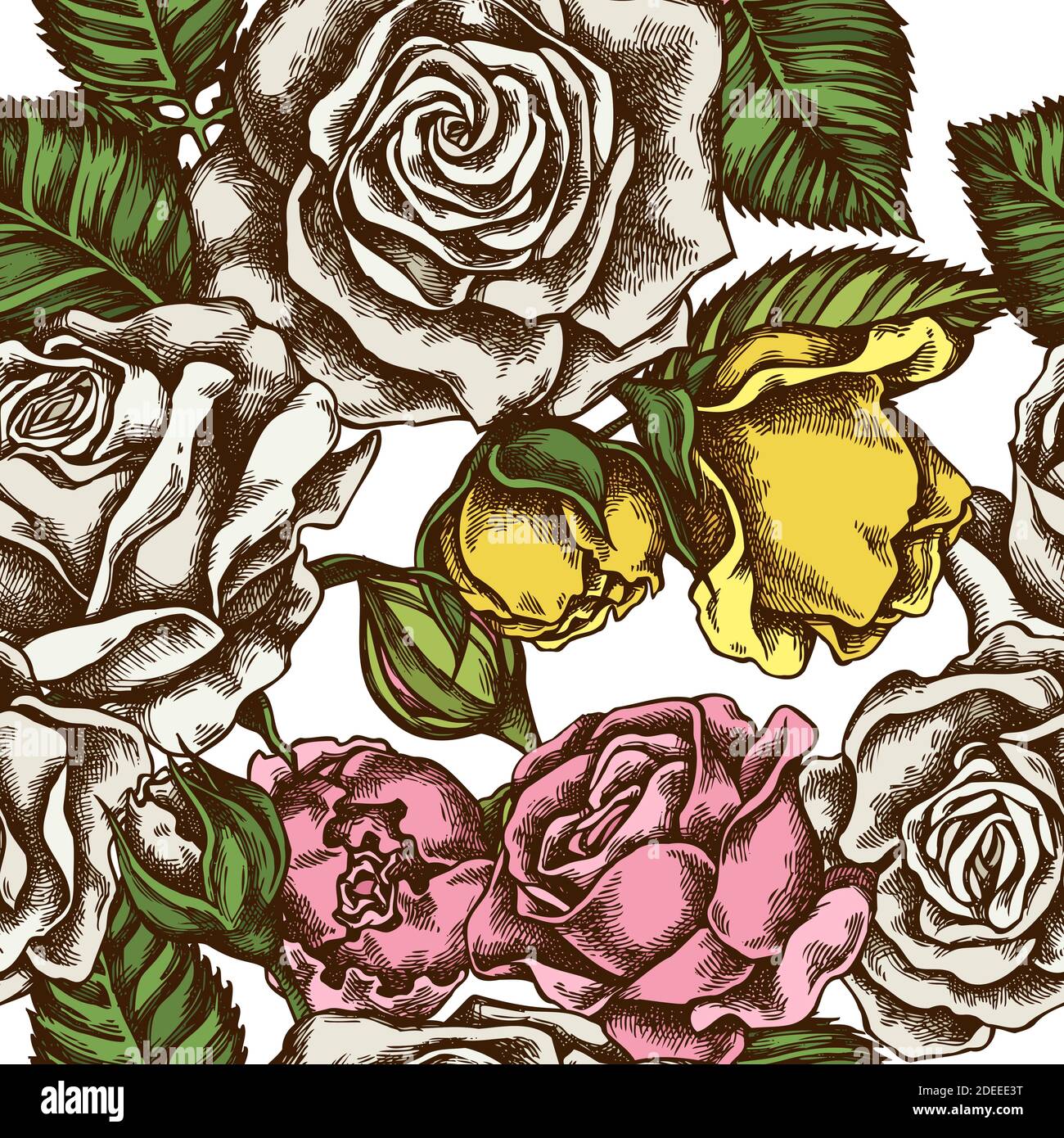 Seamless pattern with hand drawn colored roses Stock Vector Image & Art ...