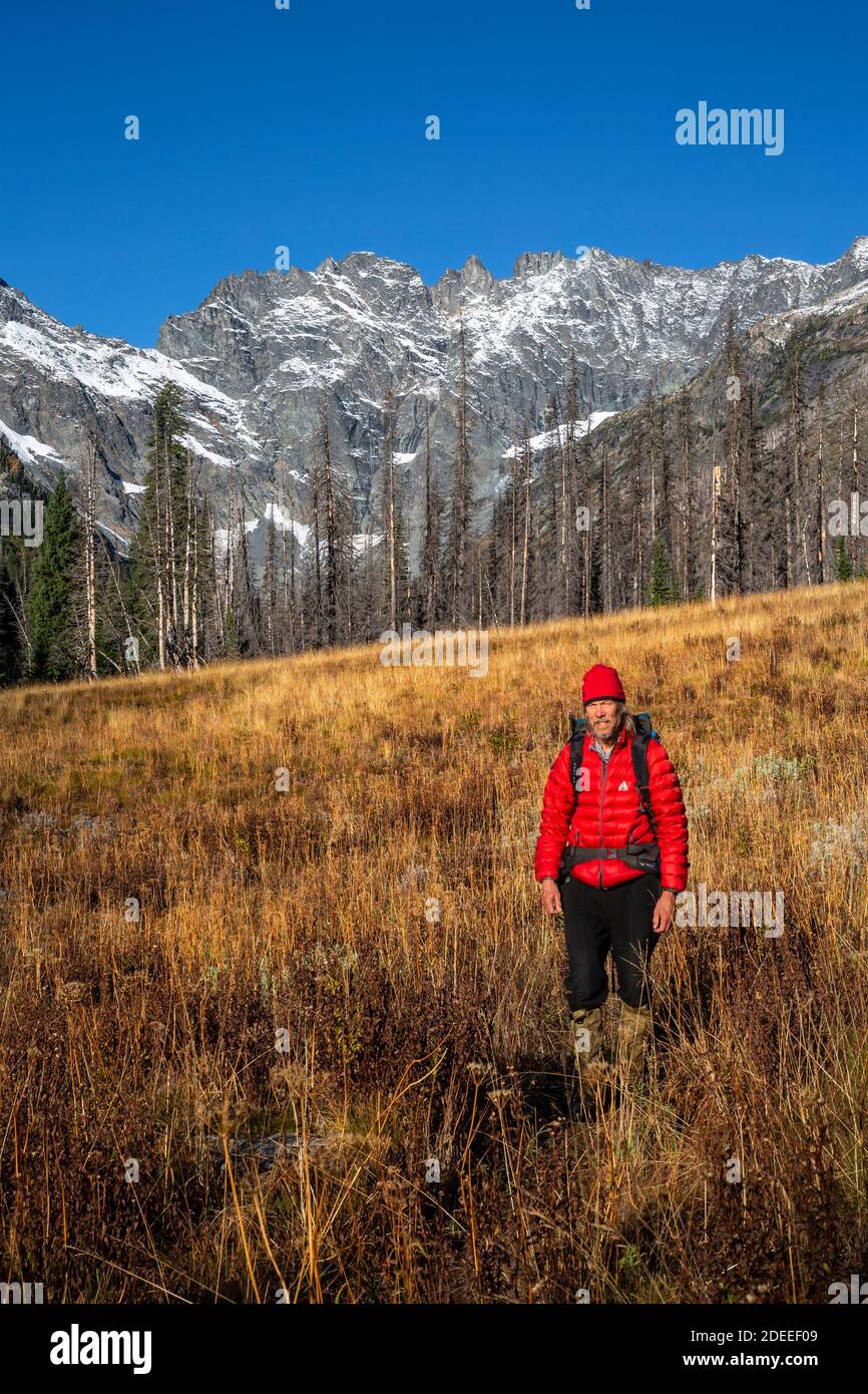 Seven fingered jack hi-res stock photography and images - Alamy