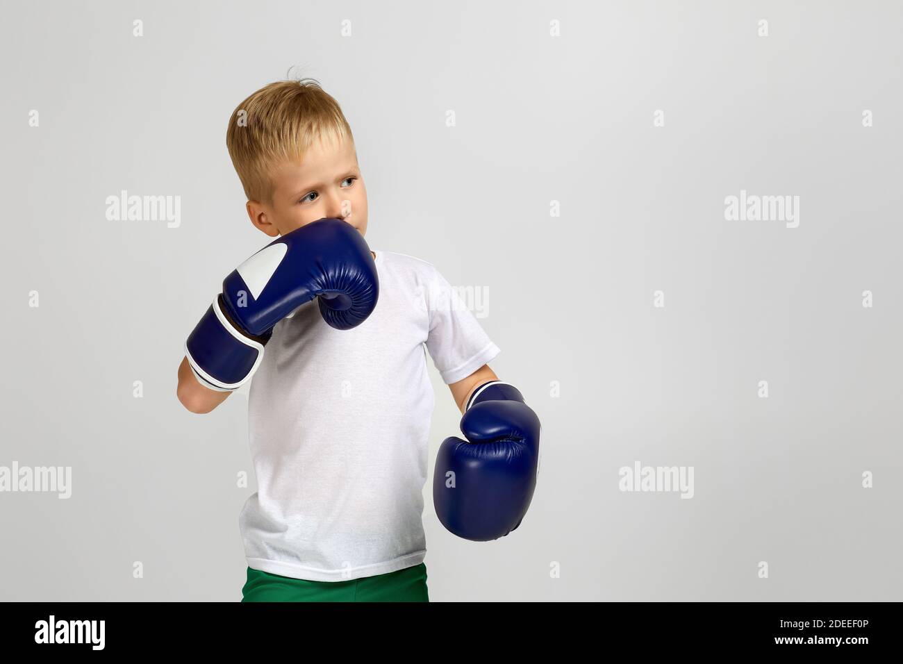 little boxing fighter boy in blue boxer gloves child dreams of becoming ...