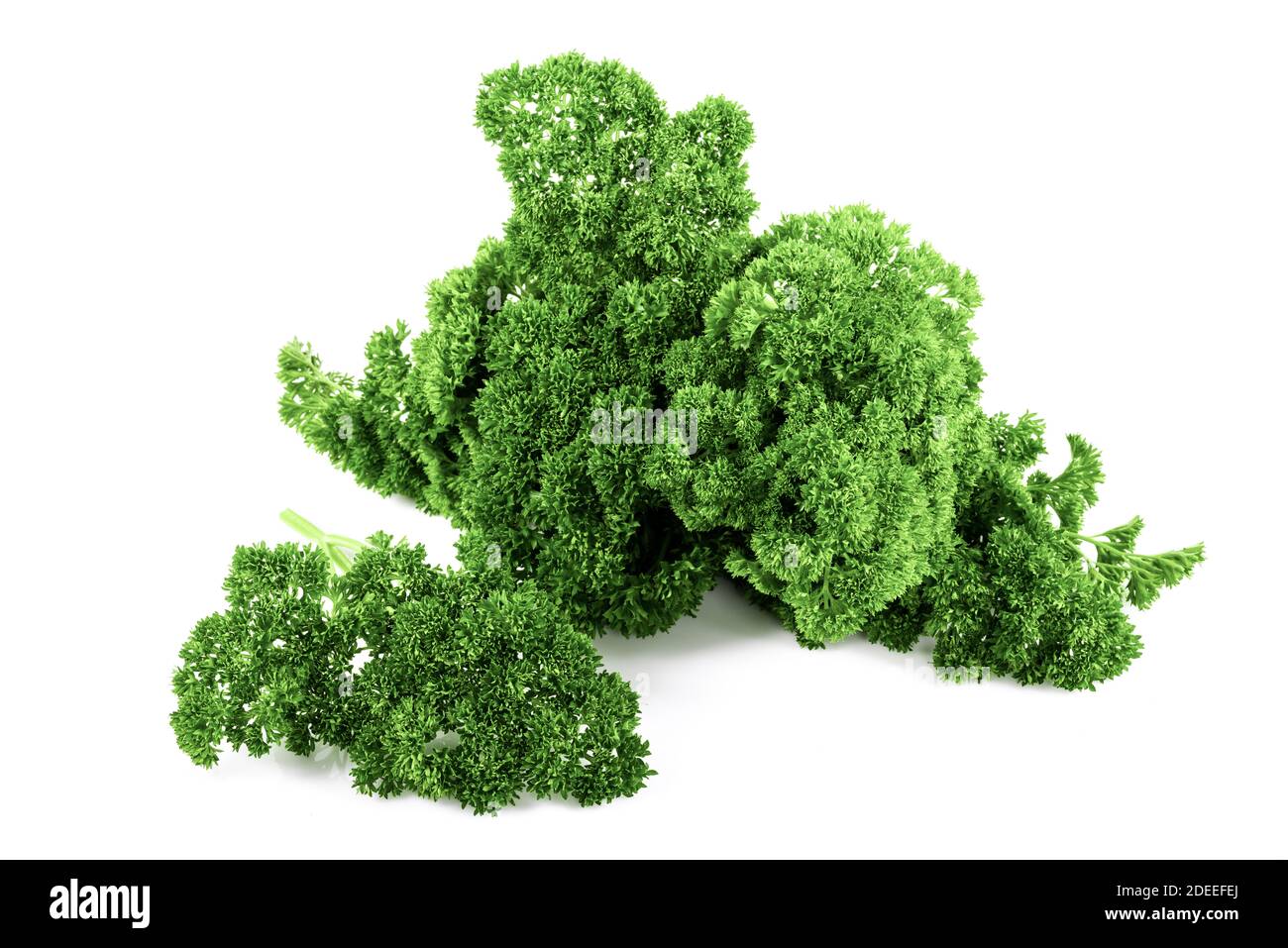 Leaves fresh green parsley hi-res stock photography and images - Alamy