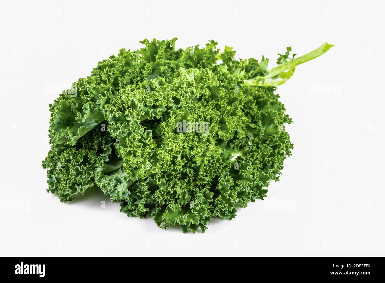 Kale leaf salad vegetable isolated on white background. Creative layout ...