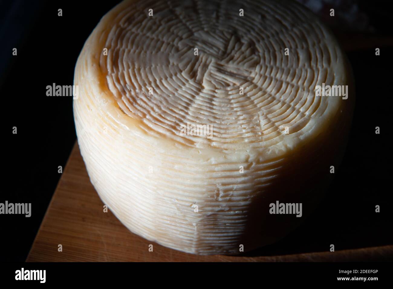 Pecorino sheep cheese Stock Photo - Alamy
