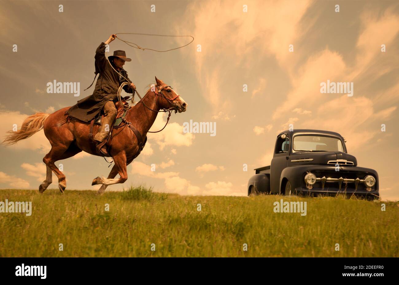 Cowboy on horse Stock Photo - Alamy