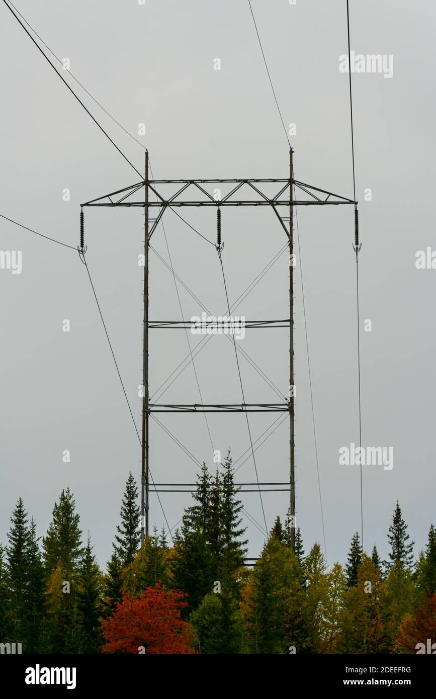 Power lines and pylon running through the forest Stock Photo - Alamy