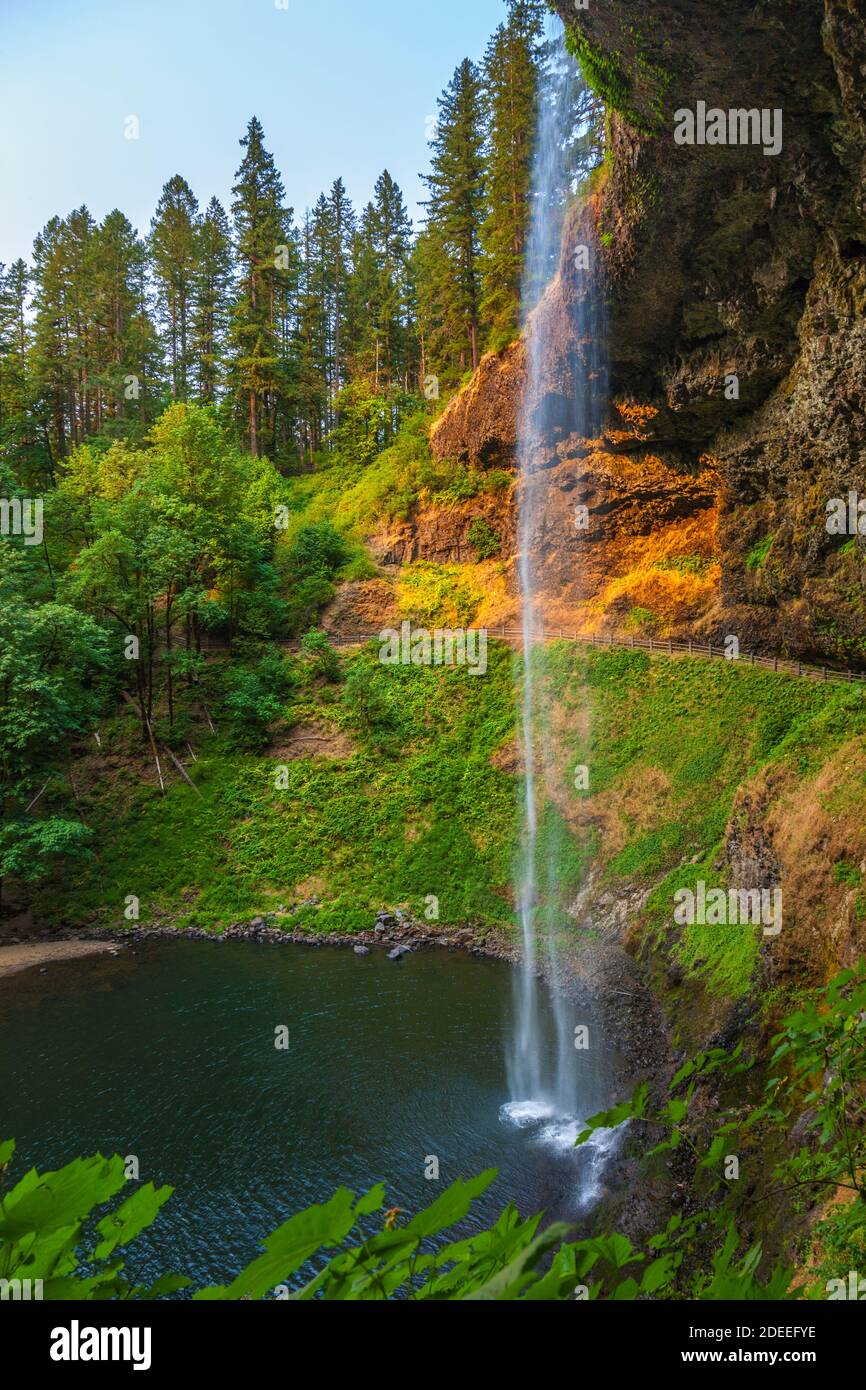 Rushing waterfall in forest hi-res stock photography and images - Alamy