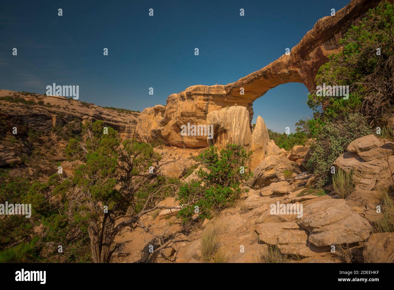 Natural Bridge in Utah Stock Photo - Alamy