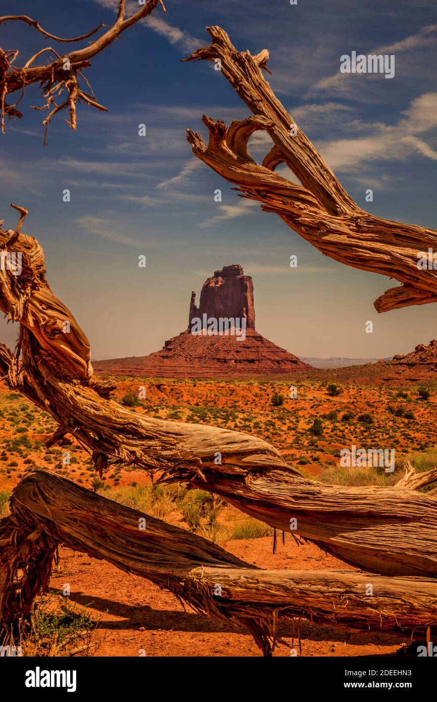 Monument Valley through old tree branch Stock Photo - Alamy