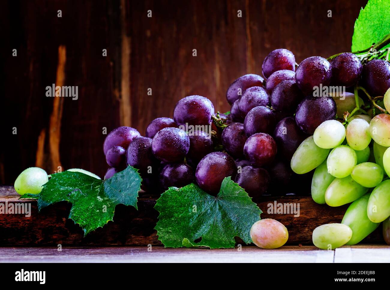Local grapes of southern Russia and North Caucasus. Green and purple ...