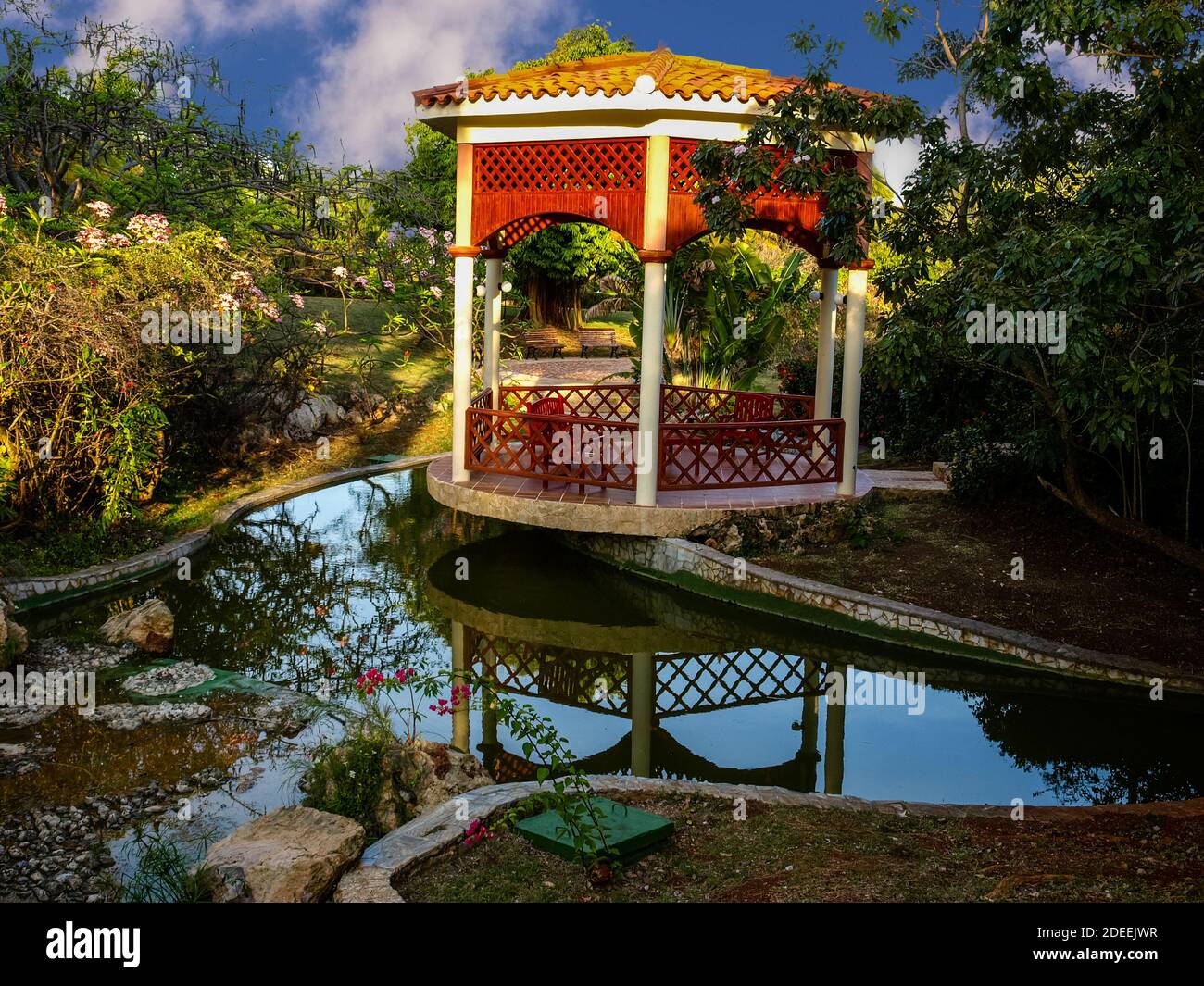 Colorful park in the tropics. Cuban spring - Beautiful tropical ...