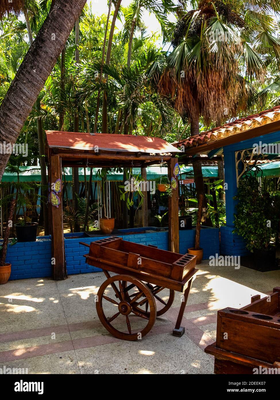 Restaurant with tropical setting. Cuban spring - Beautiful tropical ...