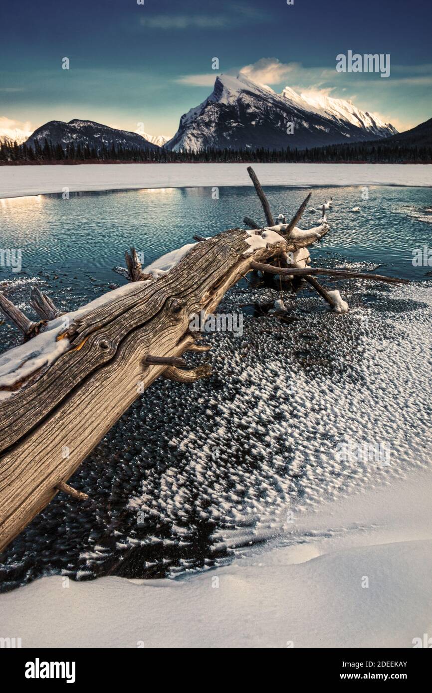 Logs in ice hi-res stock photography and images - Alamy