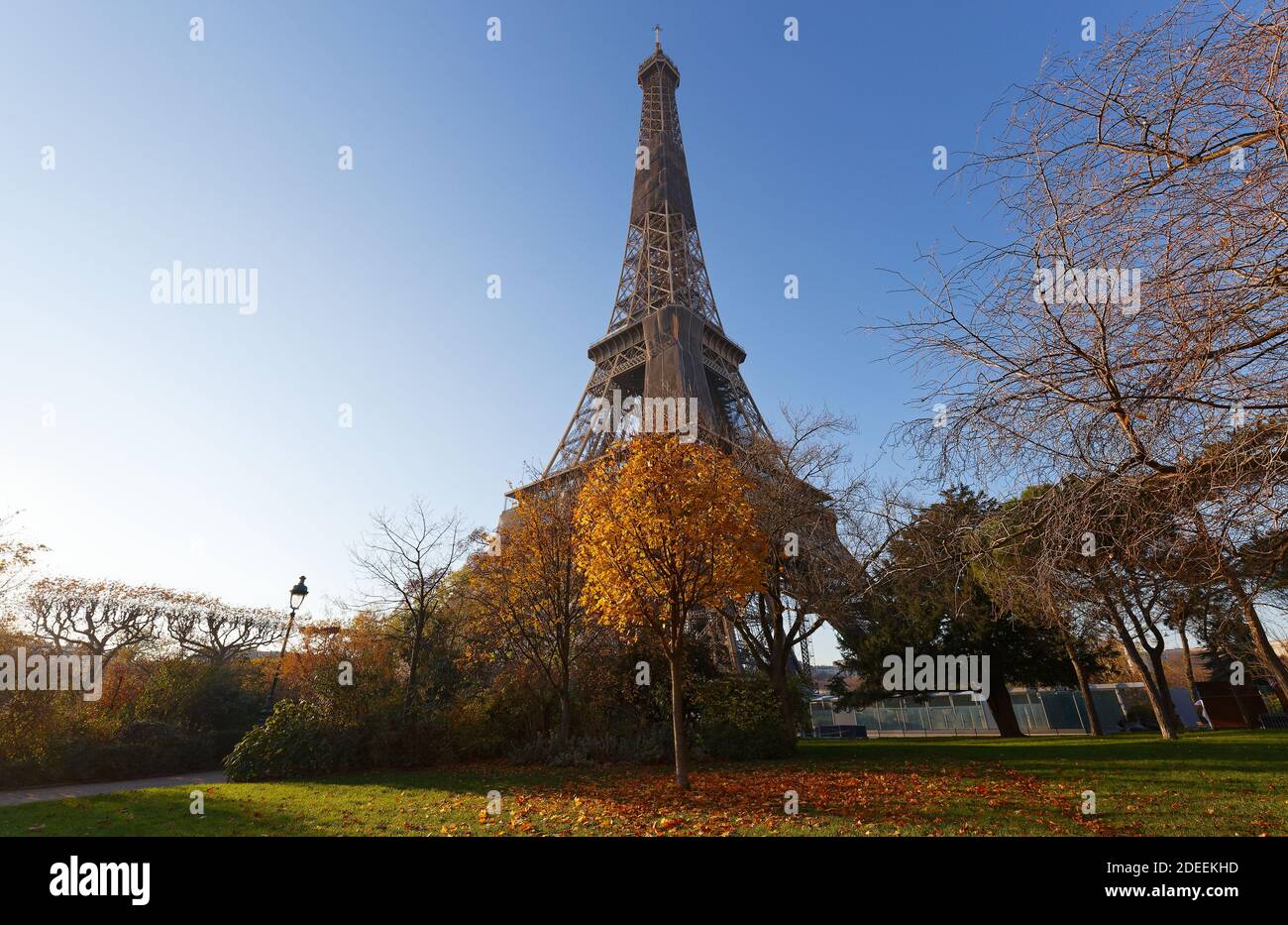 The Eiffel Tower with autumn leaves in Paris, France Stock Photo - Alamy
