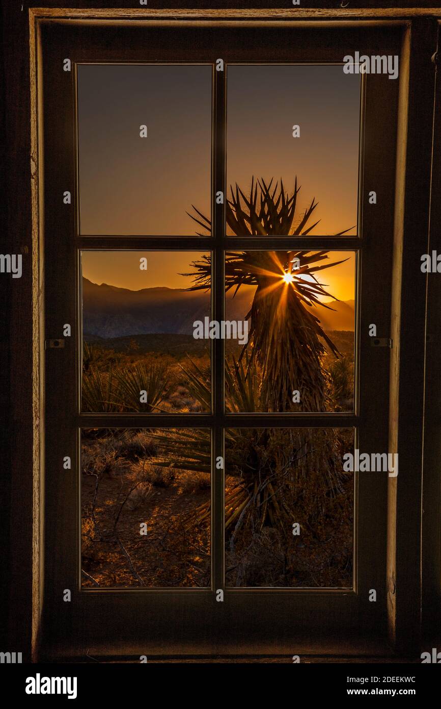 Through cactus hi-res stock photography and images - Alamy
