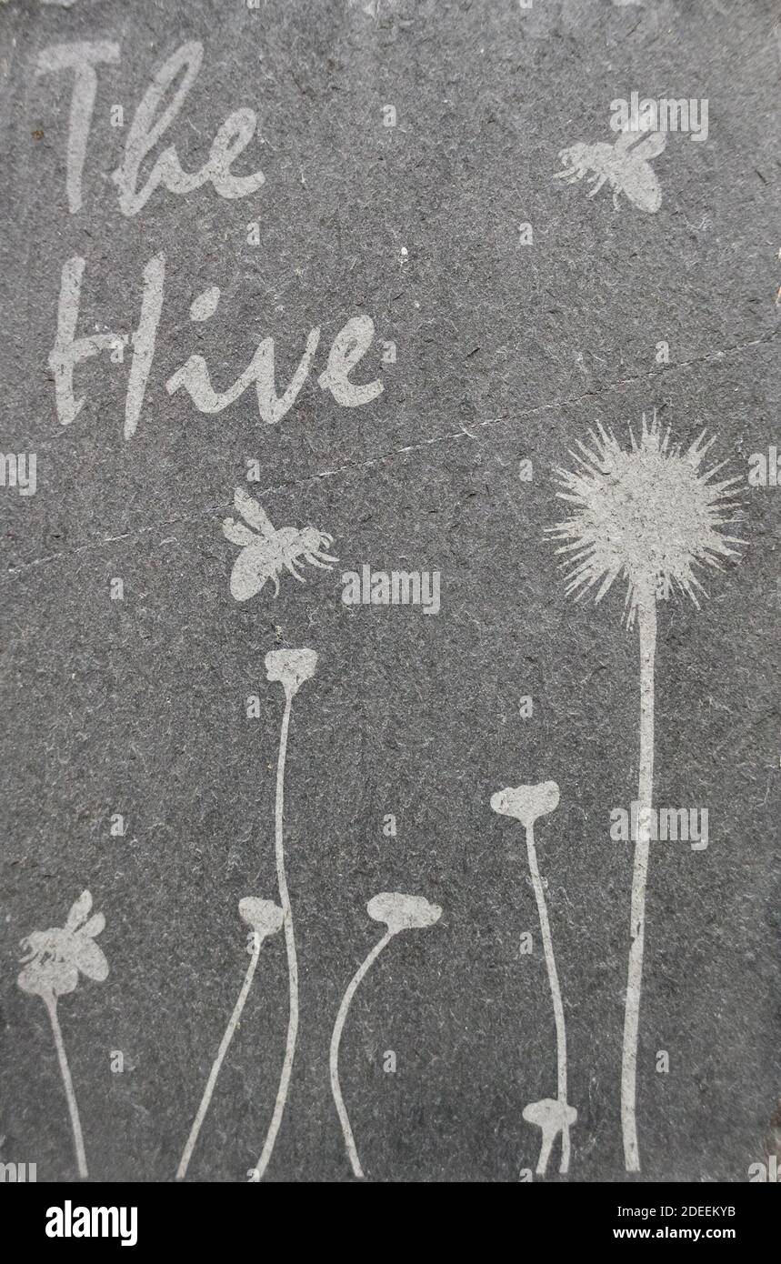 Slate bee hive artwork sign with "The Hive" writing and flowers and ...