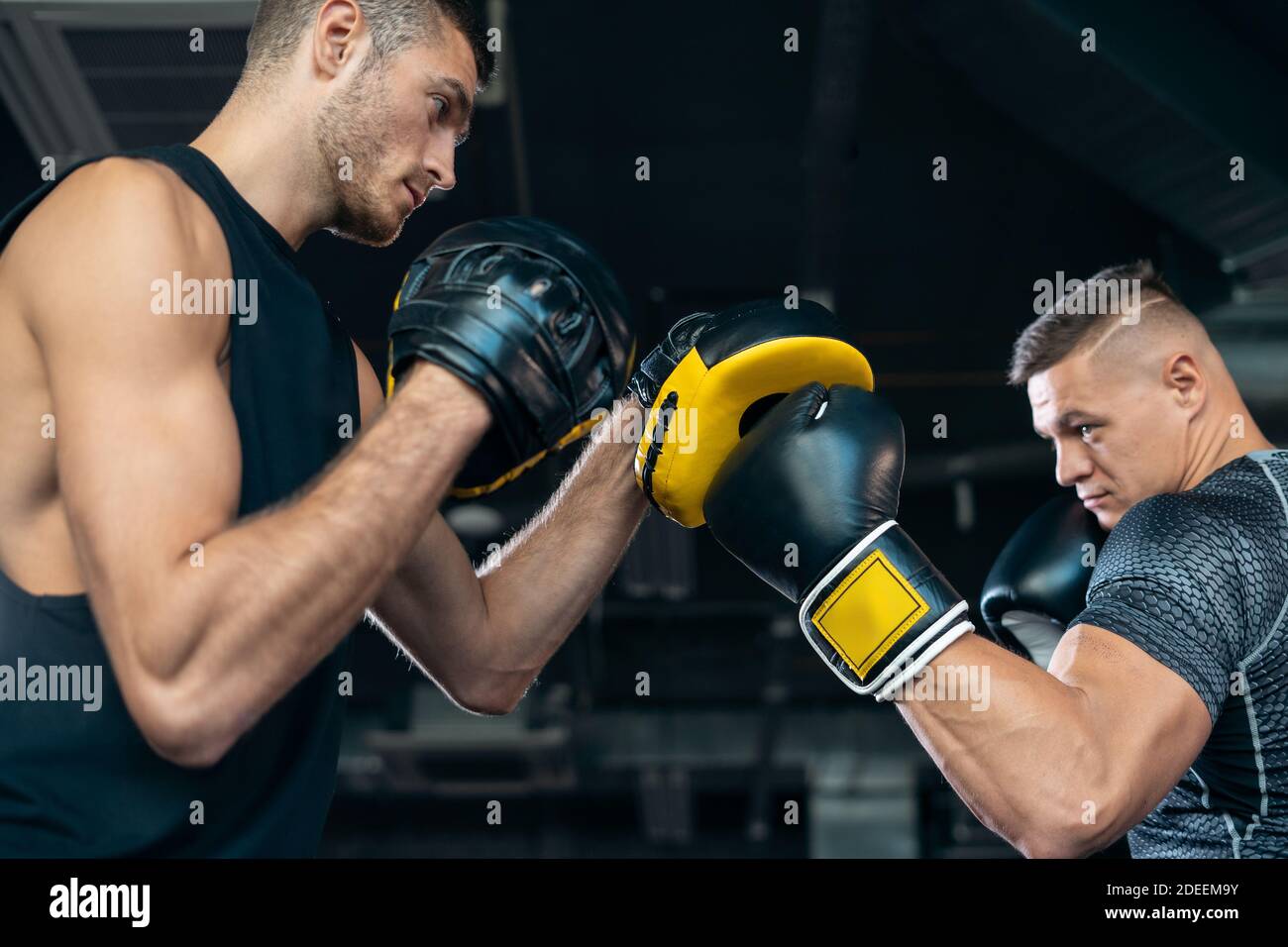 Boxers sparring hi-res stock photography and images - Alamy