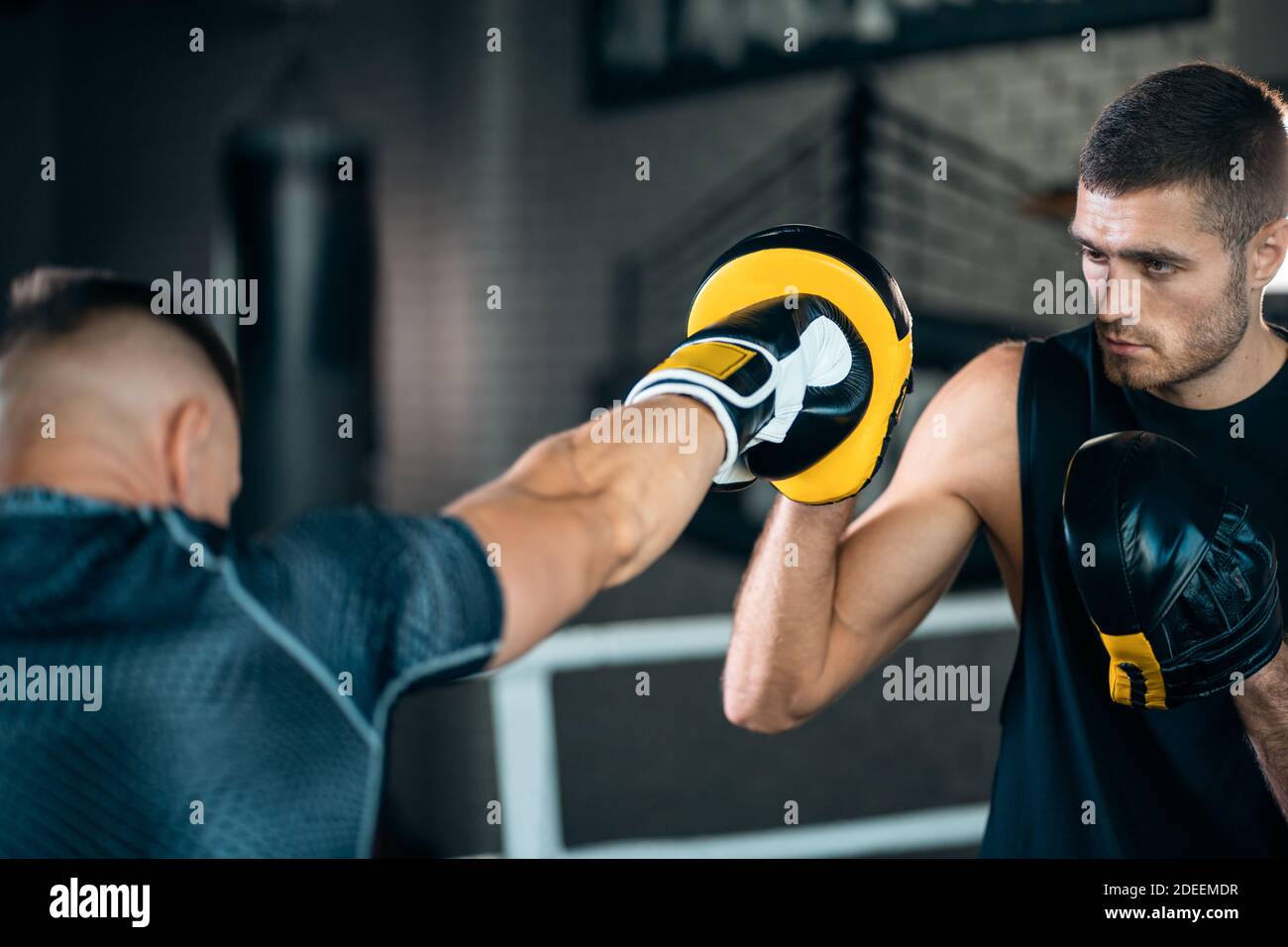 two muscle boxers sport man training and fighting on boxing ring at gym ...