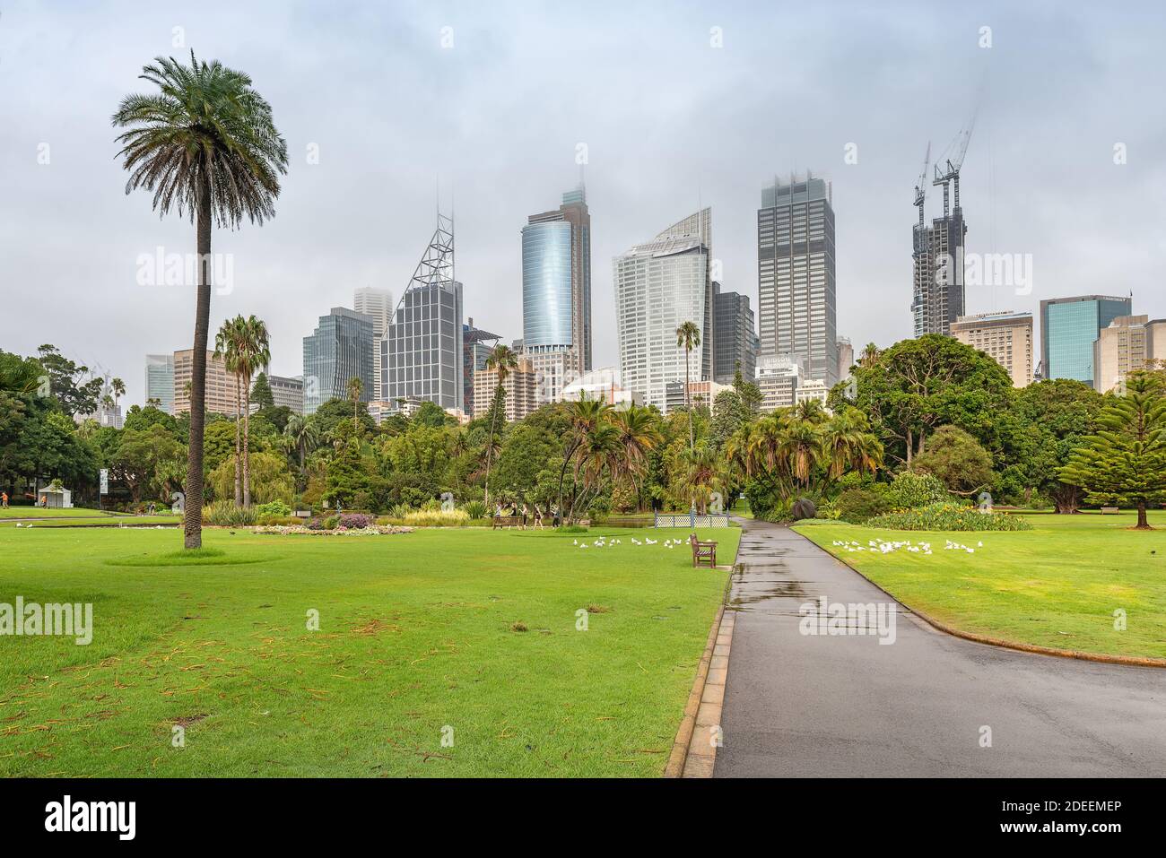 Sydney, New South Wales, Australia ; A view of high rise office ...