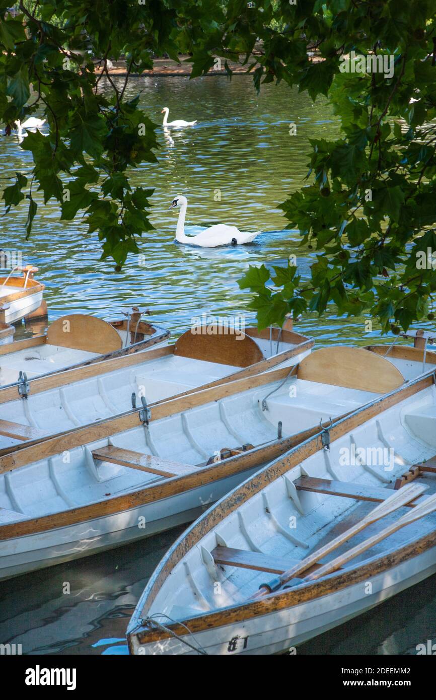 Row boats on water Stock Photo - Alamy