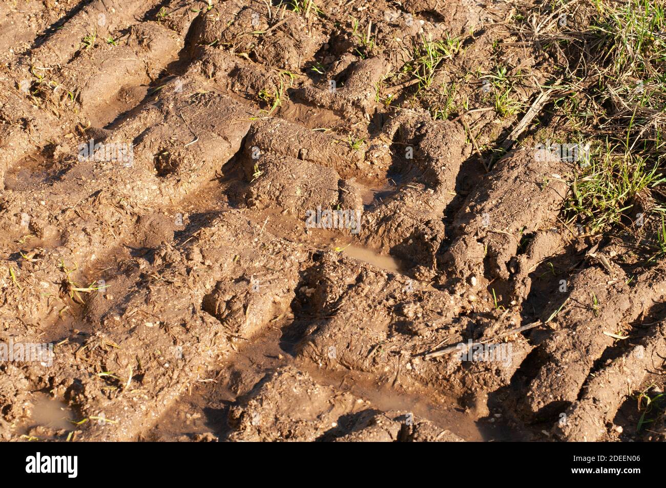 a dirt road in clay soil with tracks of a tractor Stock Photo - Alamy