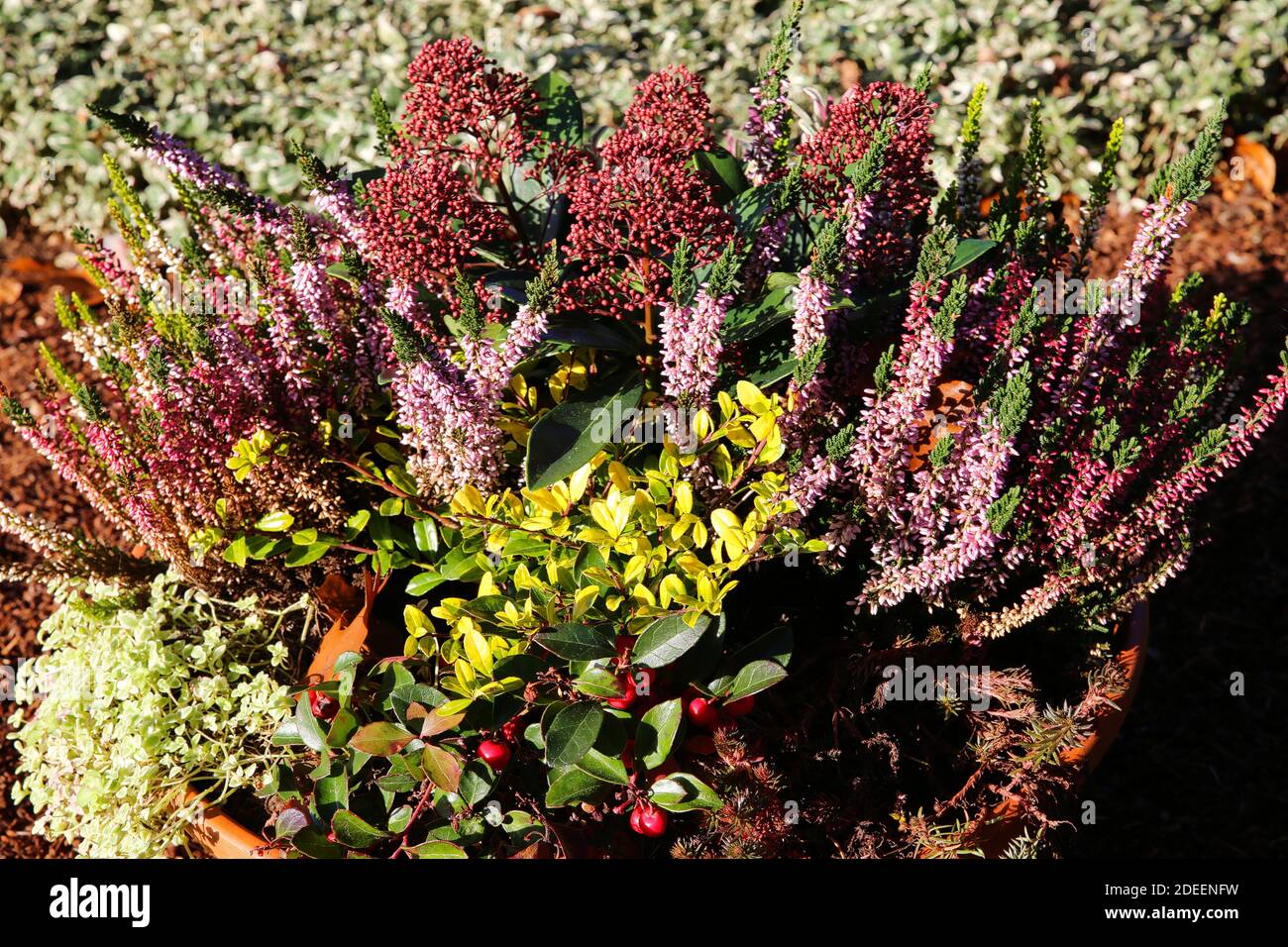 Close up of flower arrangement in autumn on graveyard of german ...