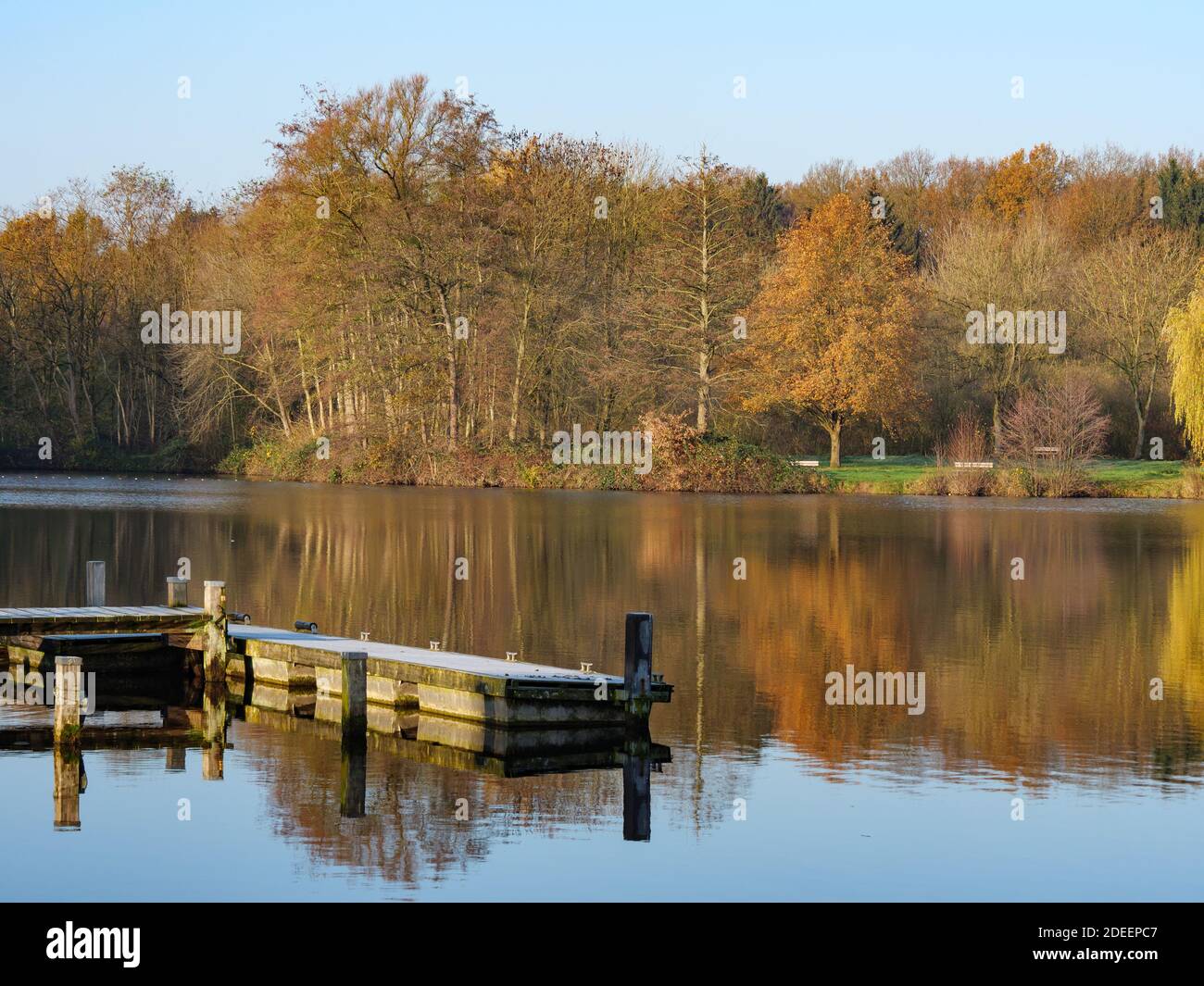 autumn time at a german lake Stock Photo - Alamy