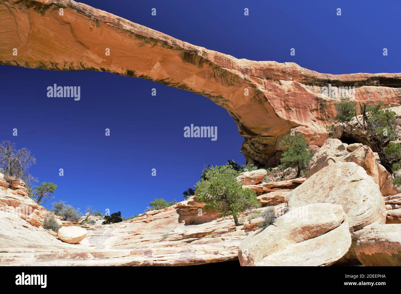 Natural Bridges National Monument in Utah Stock Photo - Alamy