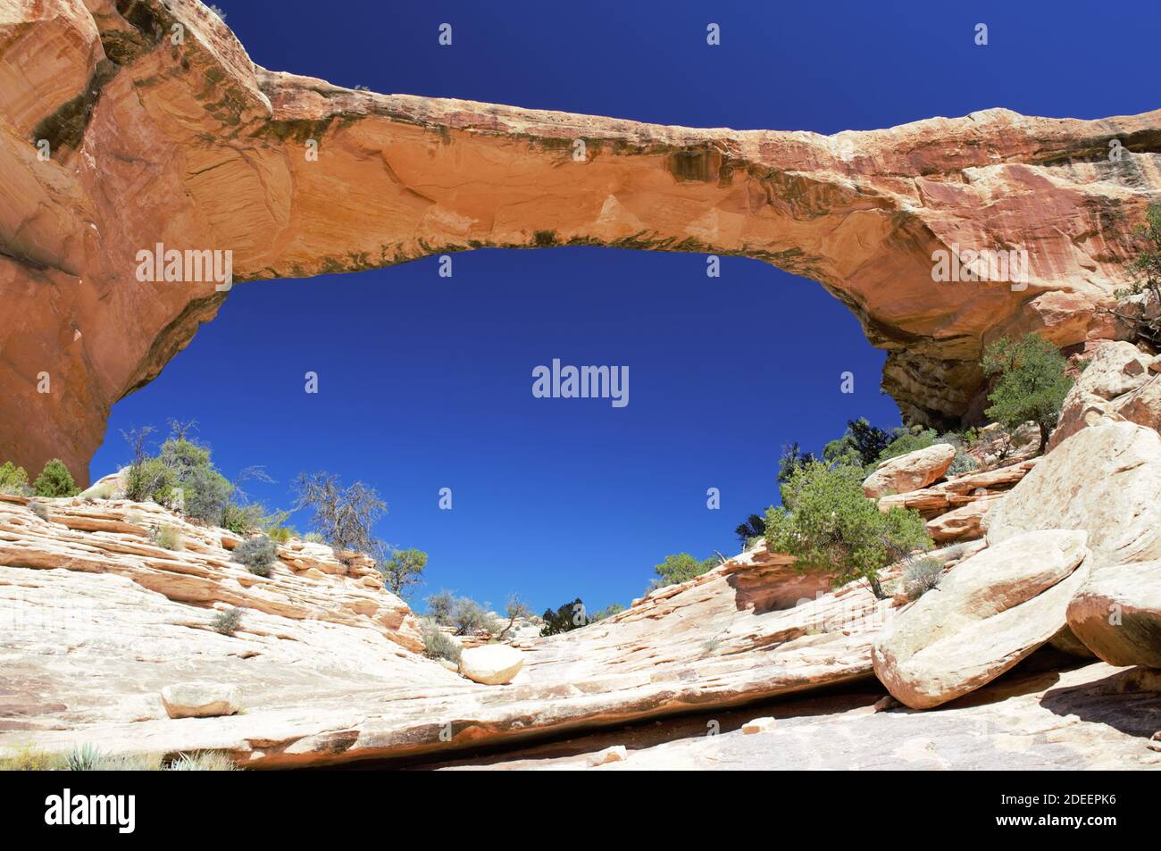 Natural Bridges National Monument in Utah Stock Photo - Alamy