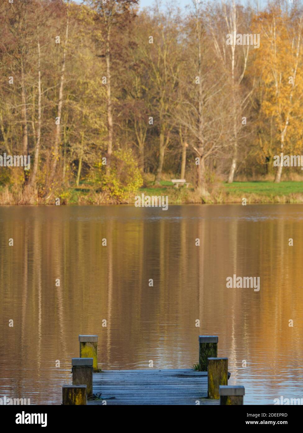 autumn time at a german lake Stock Photo - Alamy