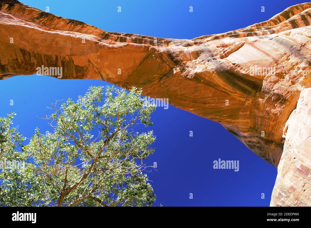 Fragile bridges hi-res stock photography and images - Alamy