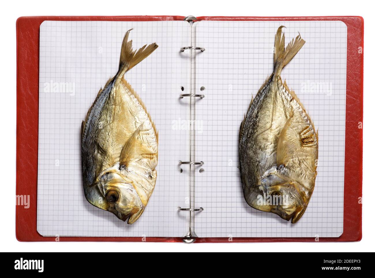Fish cage Cut Out Stock Images & Pictures - Alamy