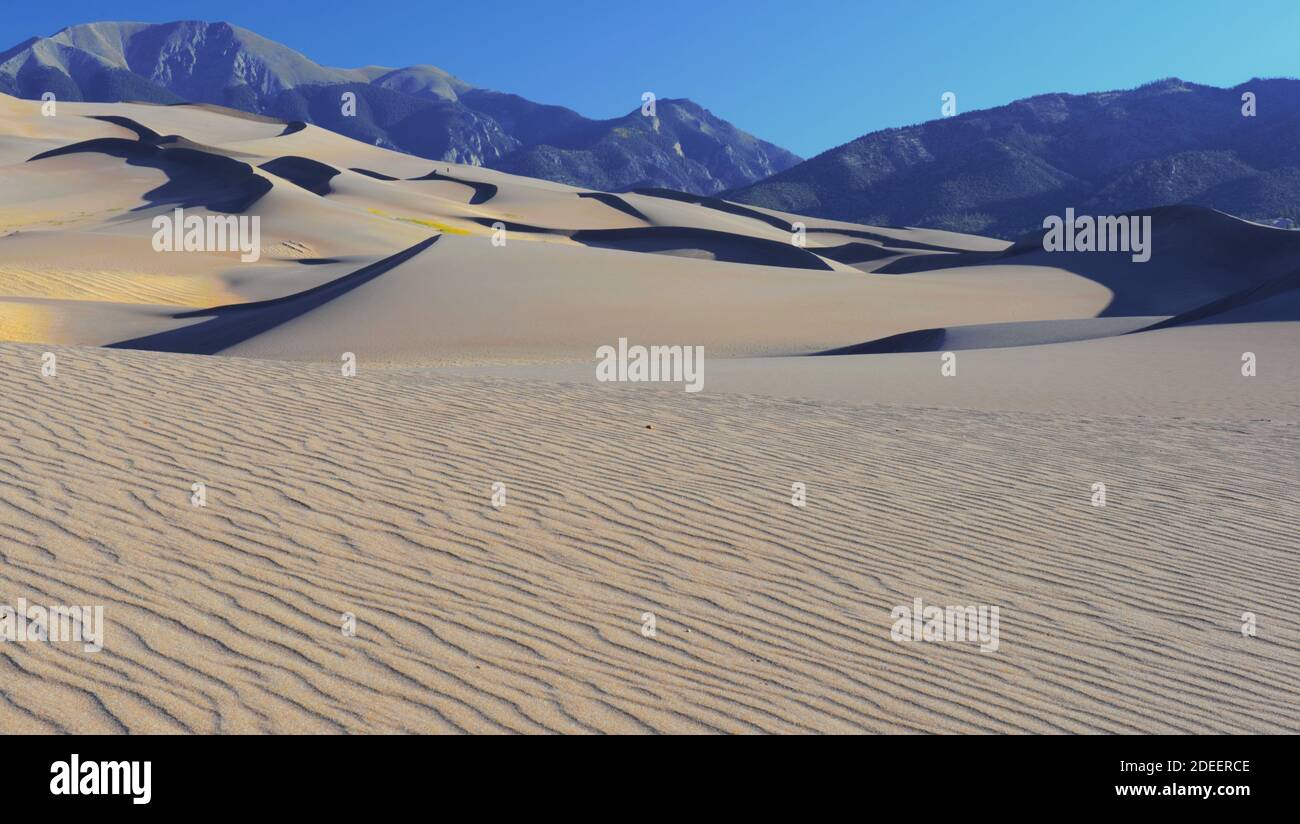 Great Sand Dunes National Park and Preserve Stock Photo - Alamy