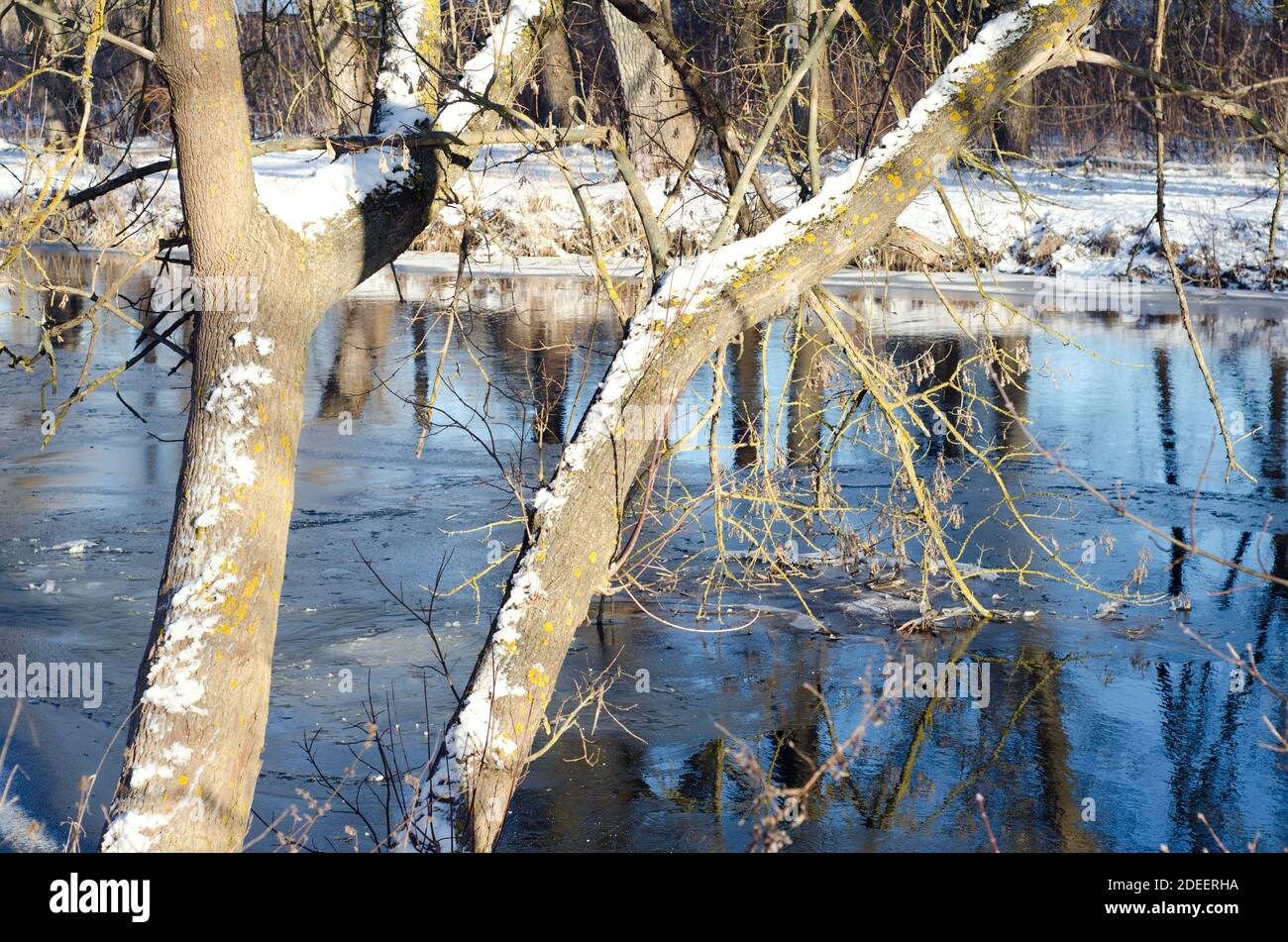 rural river with reflections of trees Stock Photo - Alamy