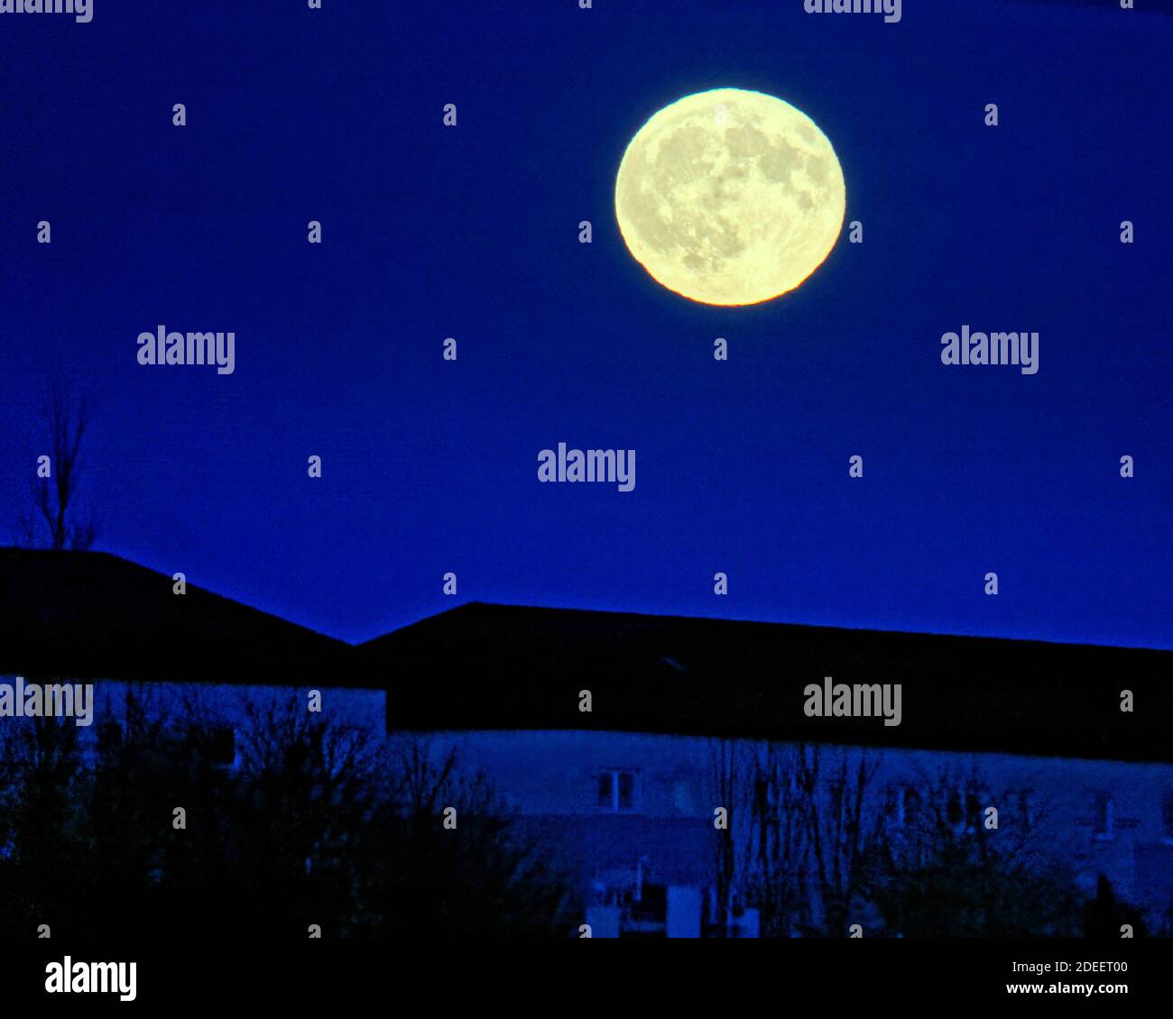 Glasgow, Scotland, UK. 29th November, 2020: UK Weather: Full Frost moon ...