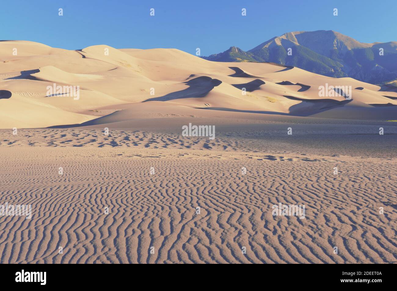 Great Sand Dunes National Park and Preserve Stock Photo - Alamy