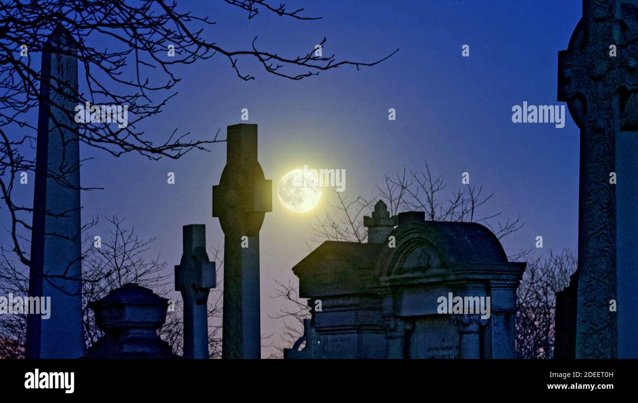 Druid grove hi-res stock photography and images - Alamy
