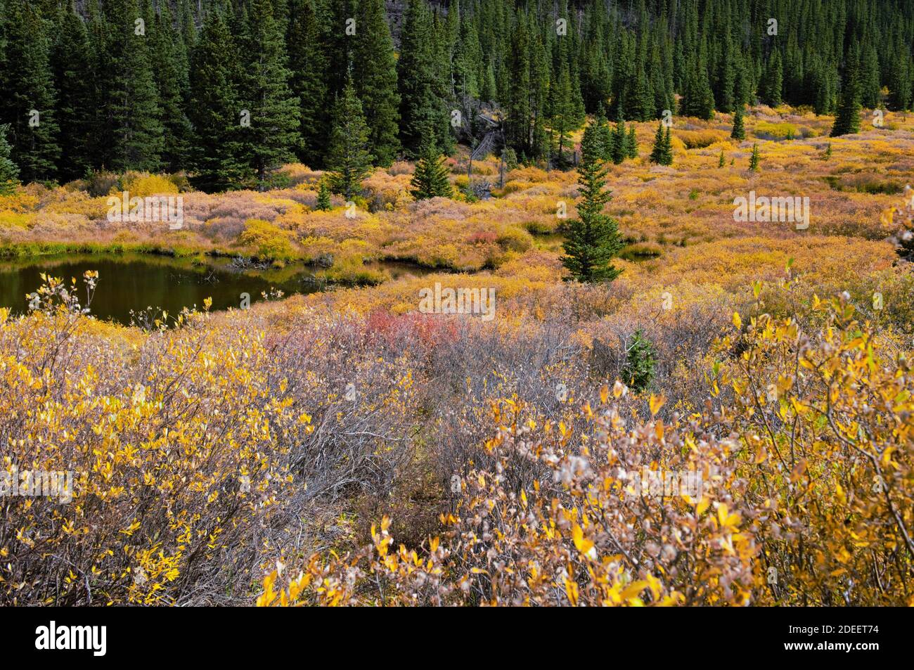 Guanella pass hi-res stock photography and images - Alamy
