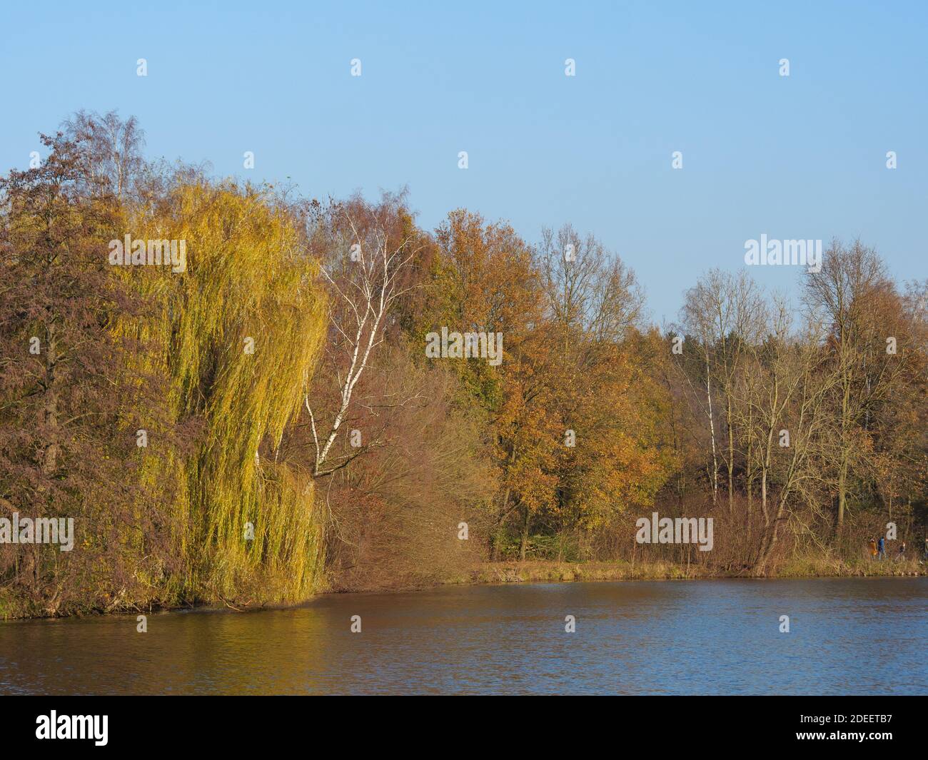 autumn time at a german lake Stock Photo - Alamy