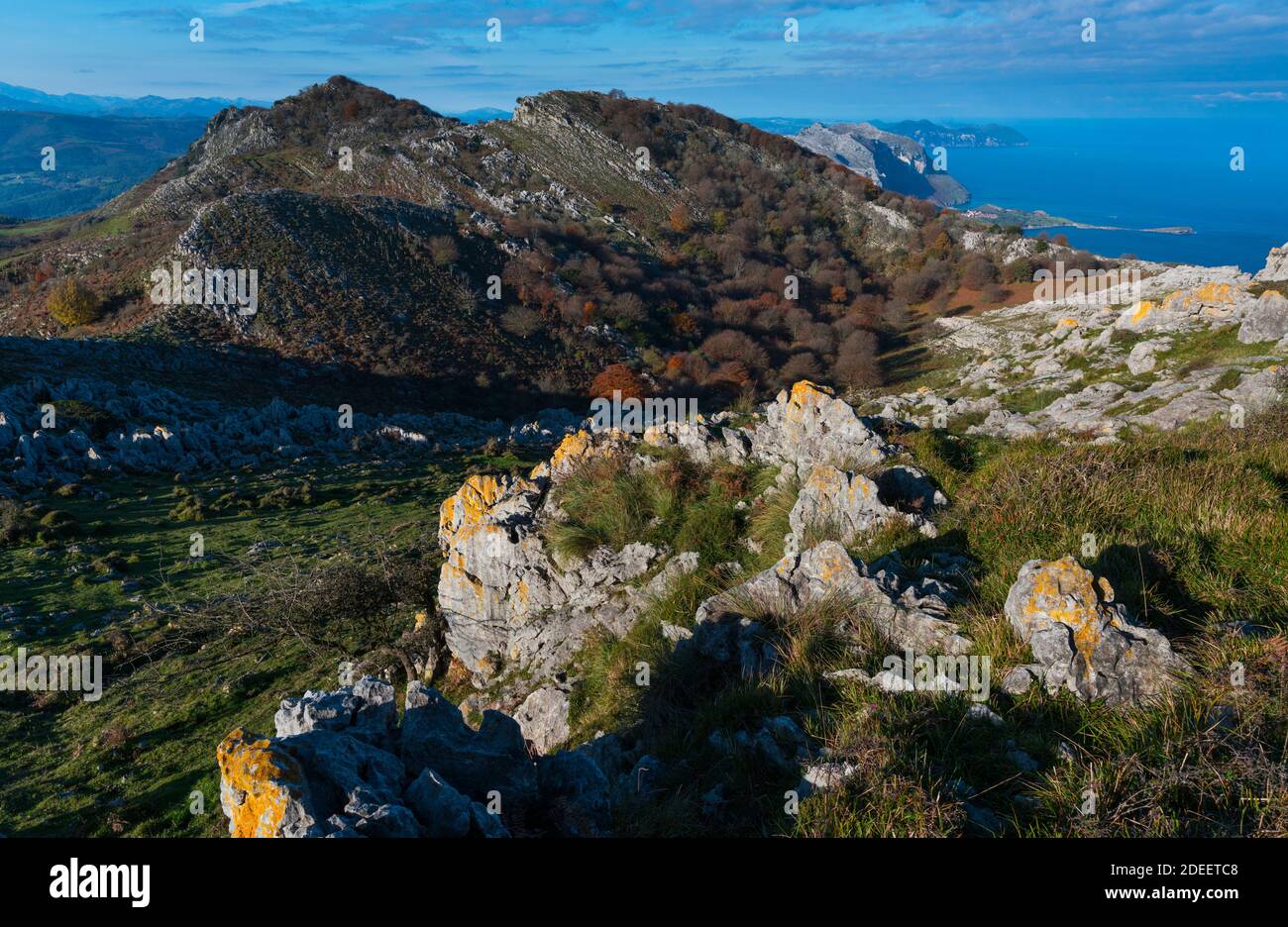 Beech forest in autumn at Cerredo Mountain, Cantabrian Sea, MONTAÑA ...