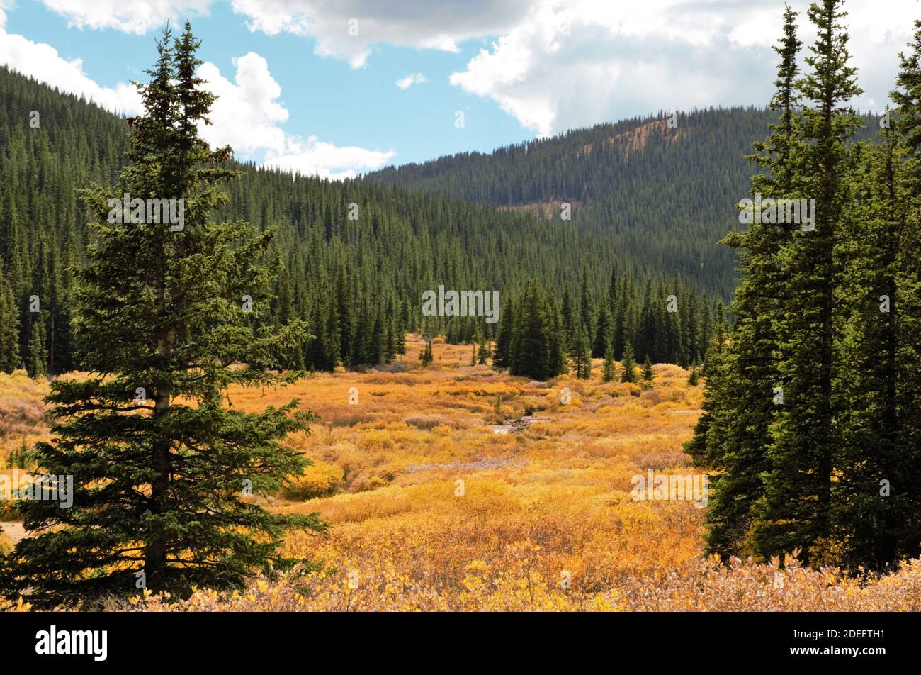 Guanella Pass road near Denver Colorado in autumn Stock Photo - Alamy
