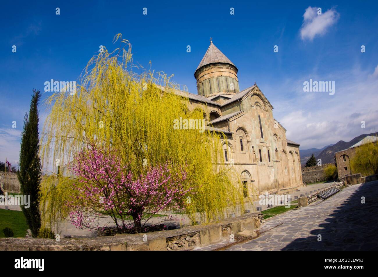This picture was taken during spring in Georgia Stock Photo - Alamy