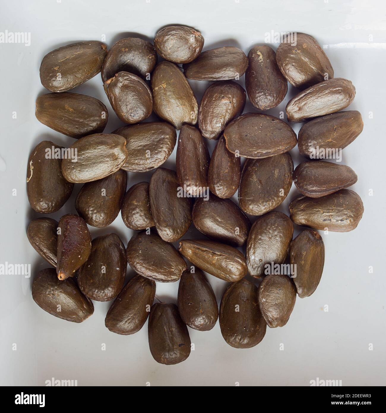 Some seeds of the custard apple fruit on white background in square ...