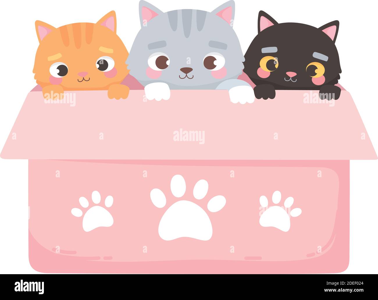 adopt a pet, cute three little kittens in the pink box vector ...