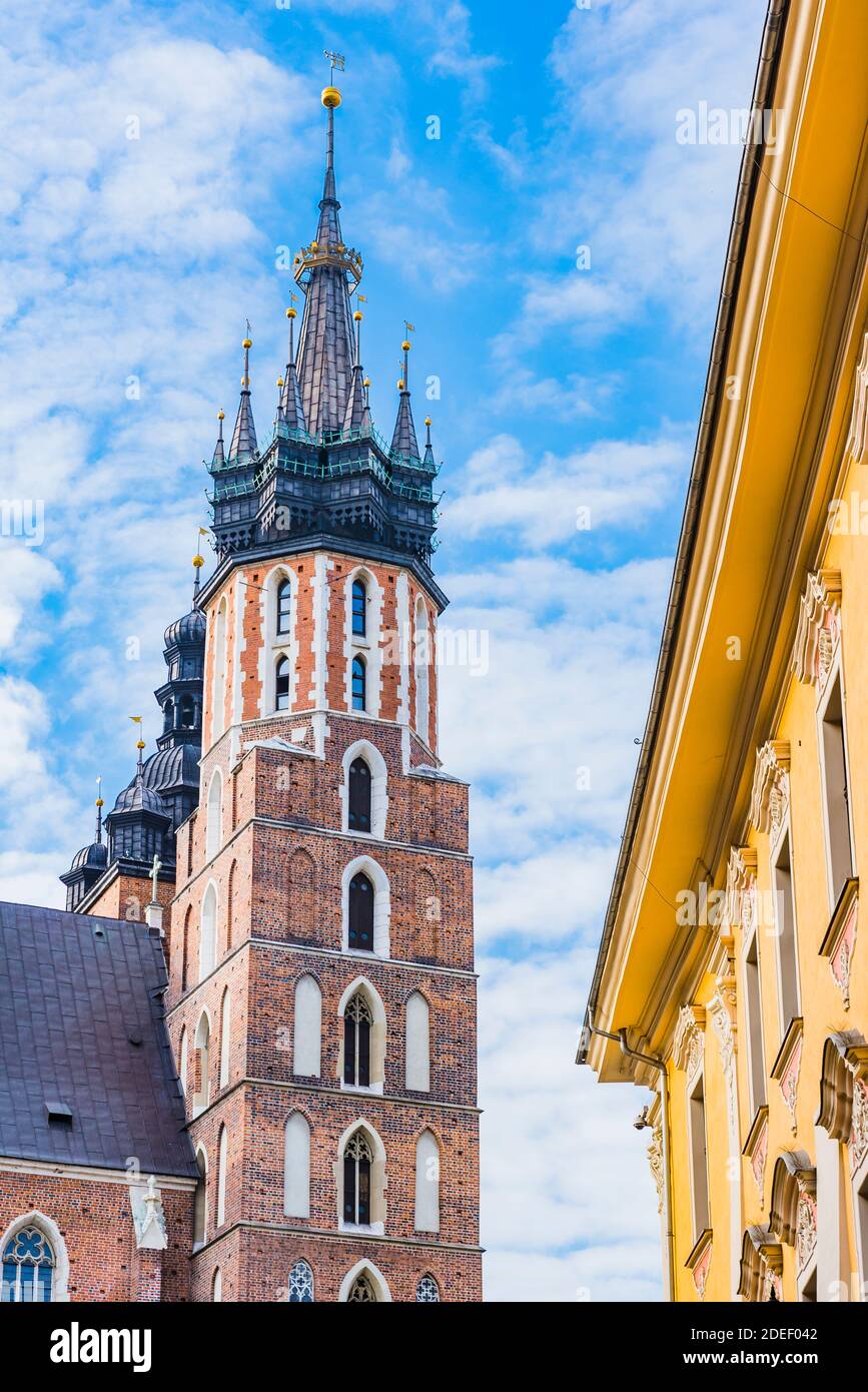 The towers of the Saint Mary’s Basilica, a Brick Gothic church adjacent ...