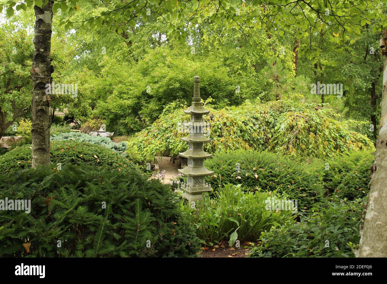 Dense shrubs hi-res stock photography and images - Alamy