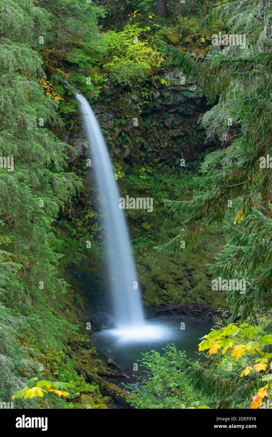 Miller Falls along the Lewis River Trail, Gifford Pinchot National ...