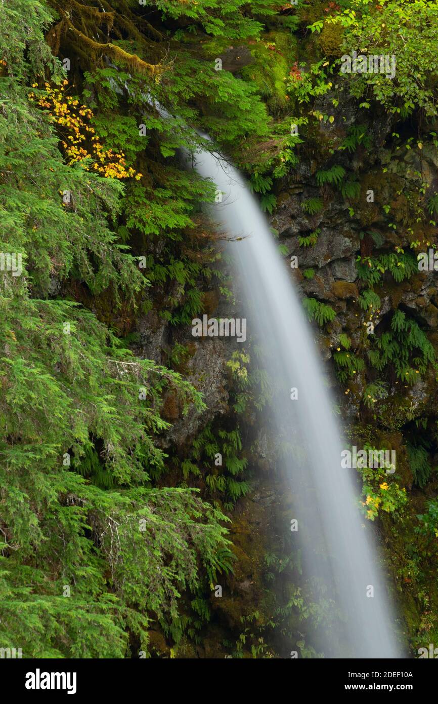 Miller Falls along the Lewis River Trail, Gifford Pinchot National ...