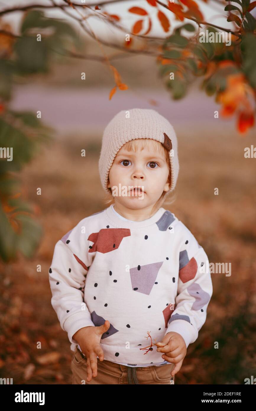 Portrait of a cute boy standing on the ground covered with autumn ...