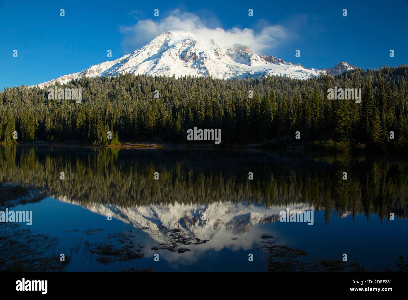 Mt Rainier from Reflection Lakes, Mt Rainier National Park, Washington ...